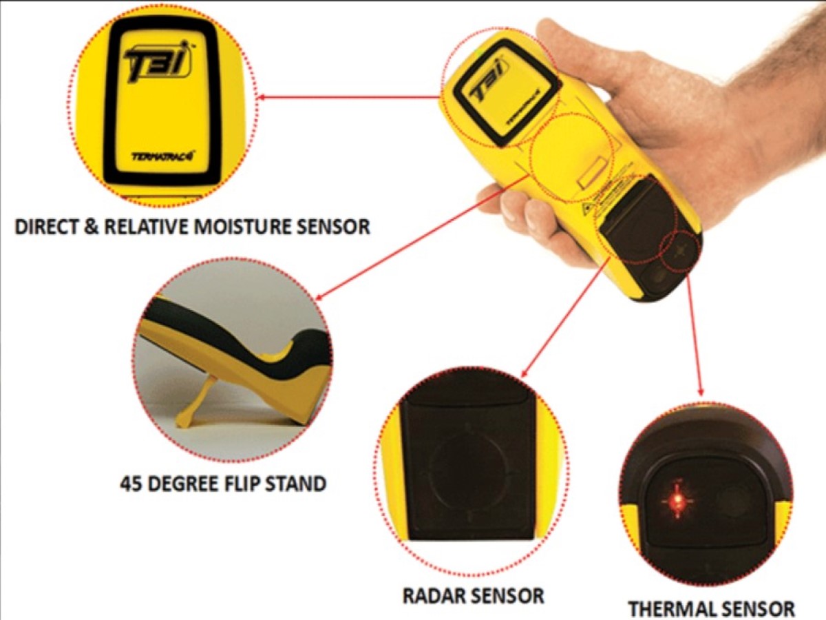 What Technology is Used To Identify Termites - GingerBays